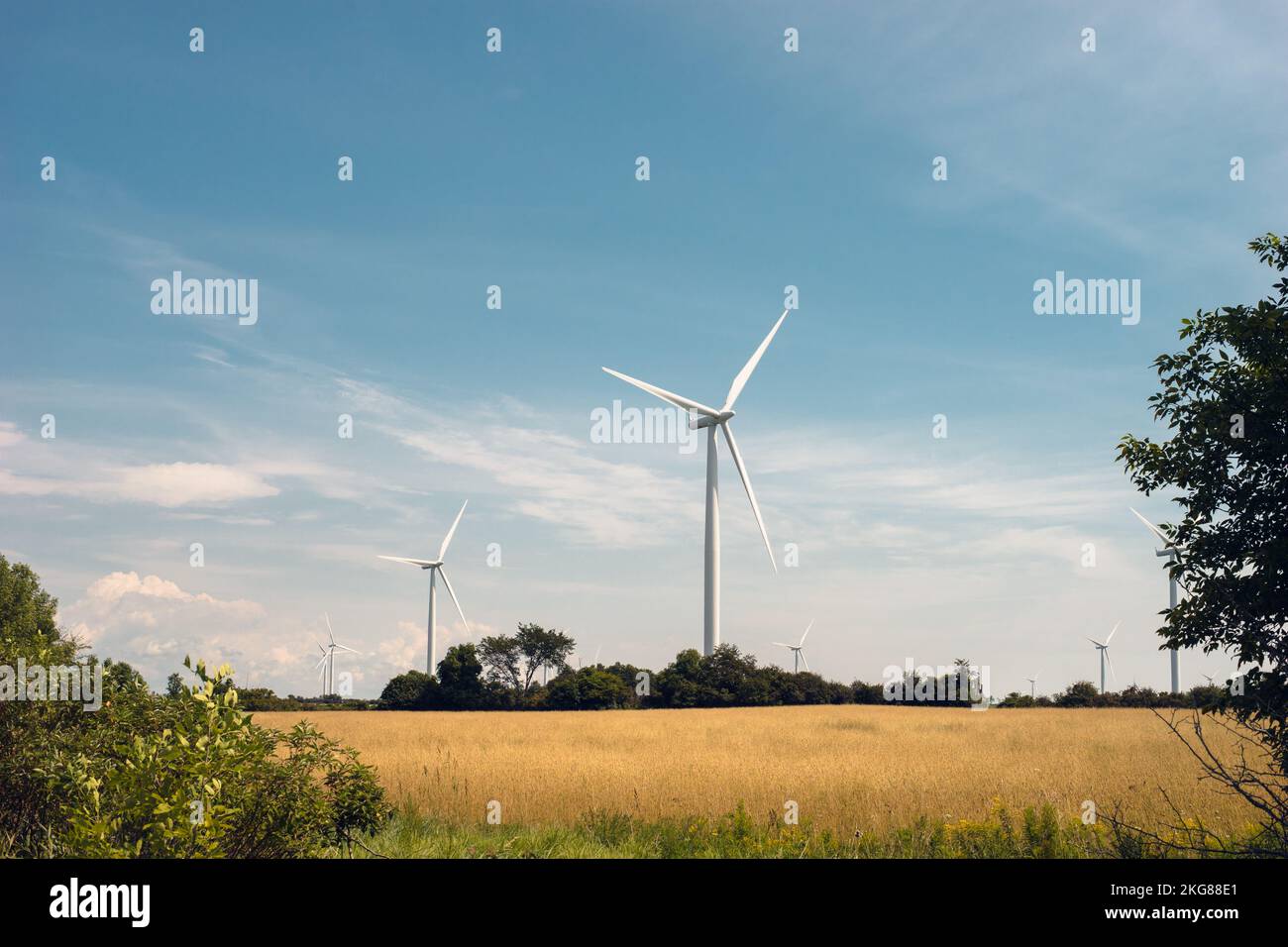 Wind turbines generate electricity on Wolfe Island, Ontario Stock Photo ...