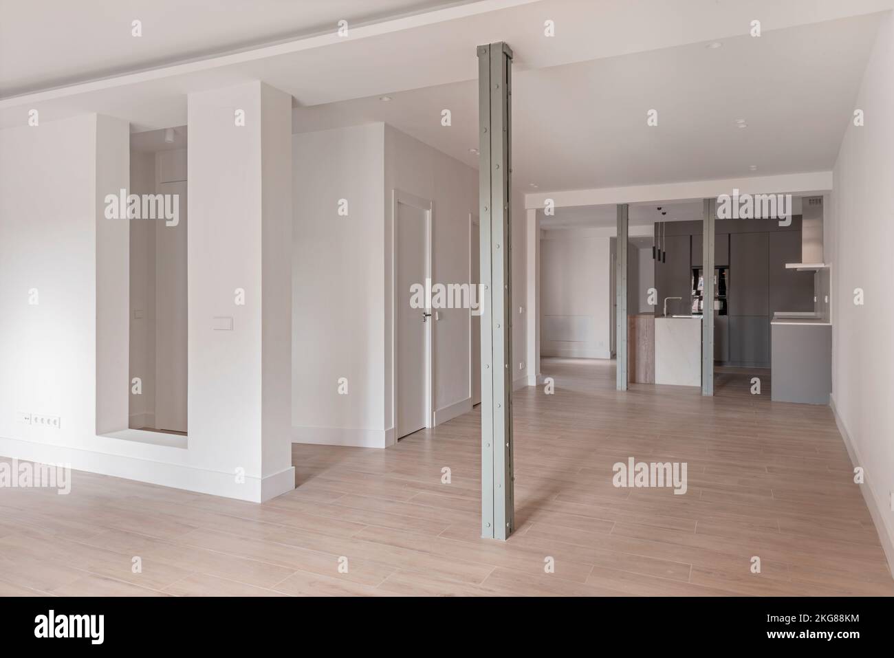 Empty room with large open space, antique metal columns, white wooden ...