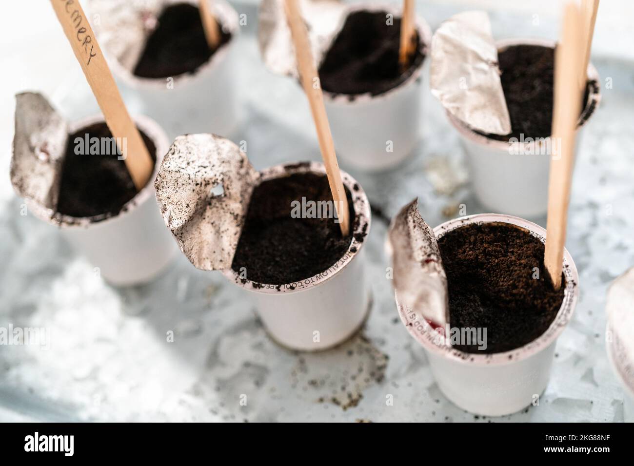 Planting coffee seeds hi-res stock photography and images - Alamy