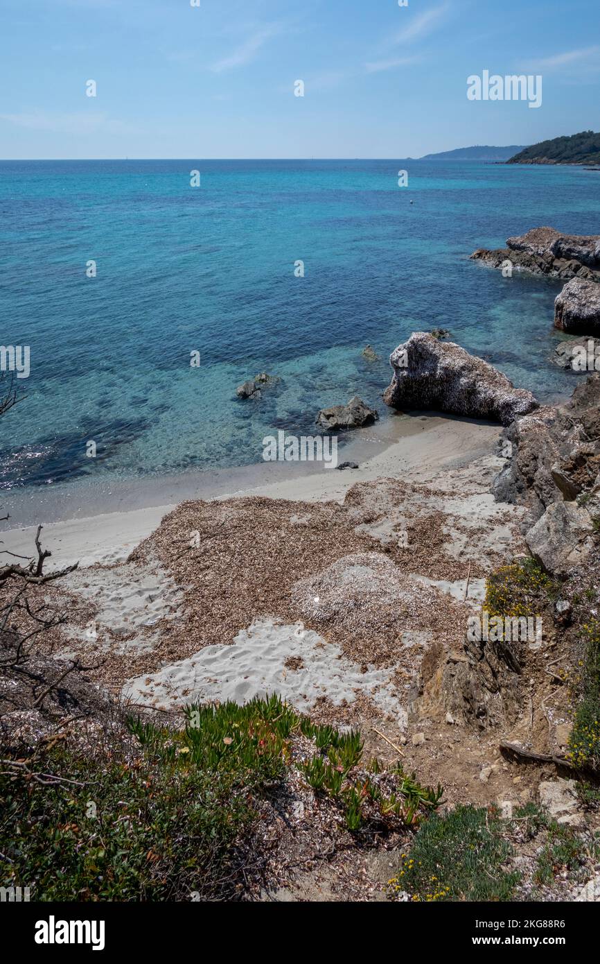 Rocky beach in Saint-Tropez with plants and flowers, in Provence, in ...
