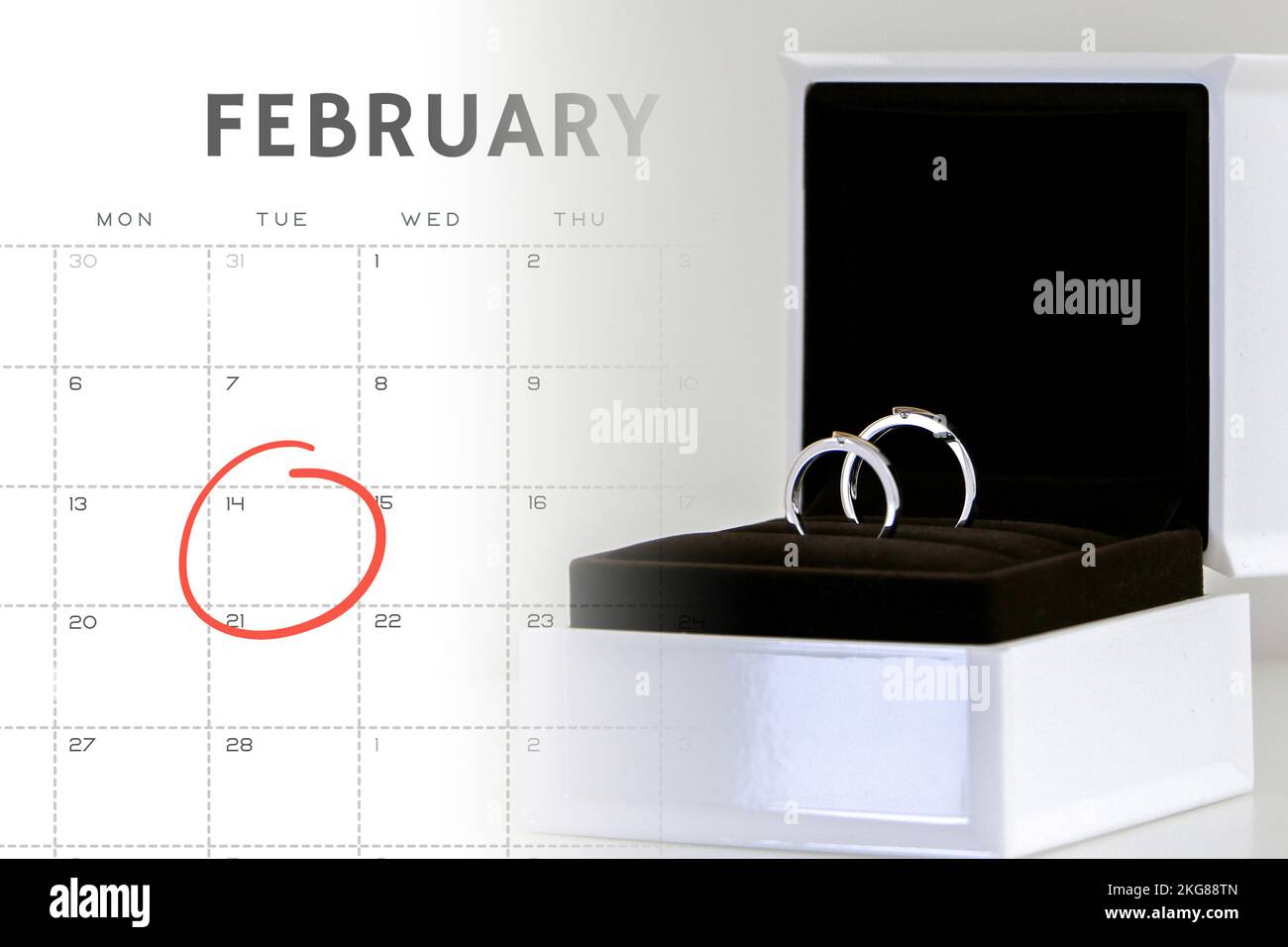 Couple of exquisite shiny wedding rings displayed in open ring box over ...