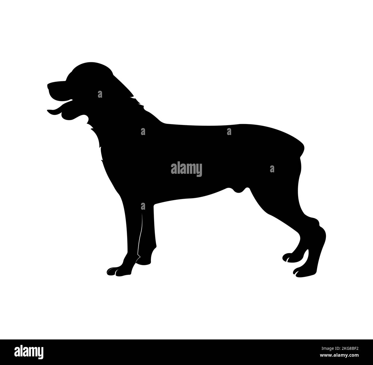 A simple vector illustration of a Rottweiler dog Stock Vector Image ...