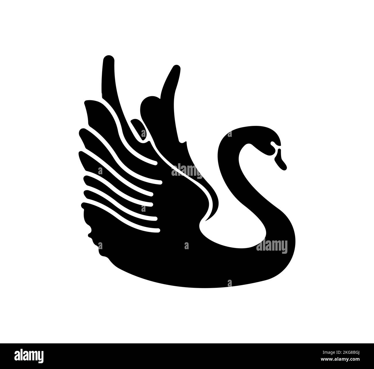 A simple vector illustration of a black swan Stock Vector Image & Art ...