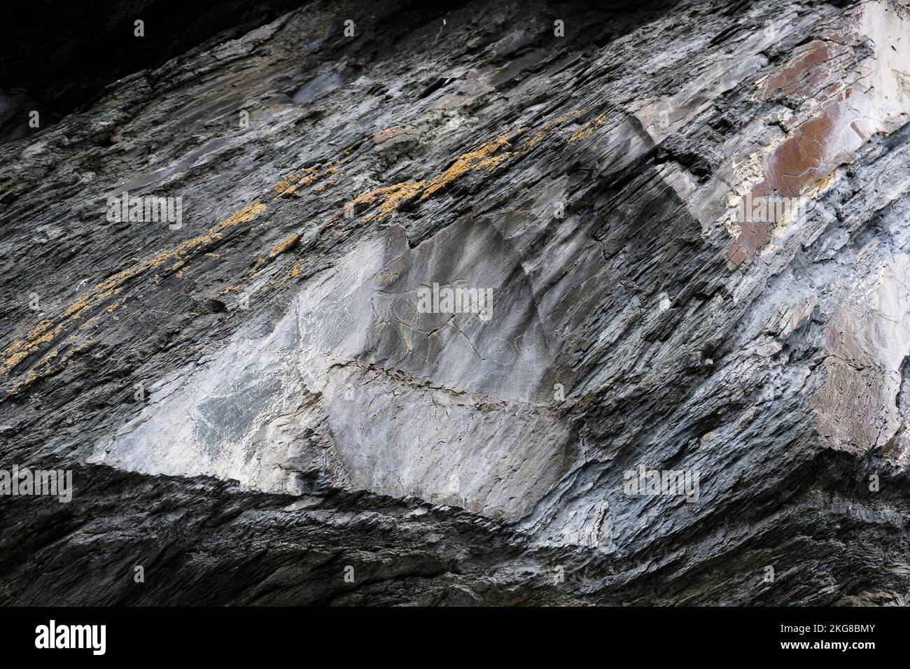 Petroglyph carved on a rock depicting moose animal dated 35-1 centuries ...