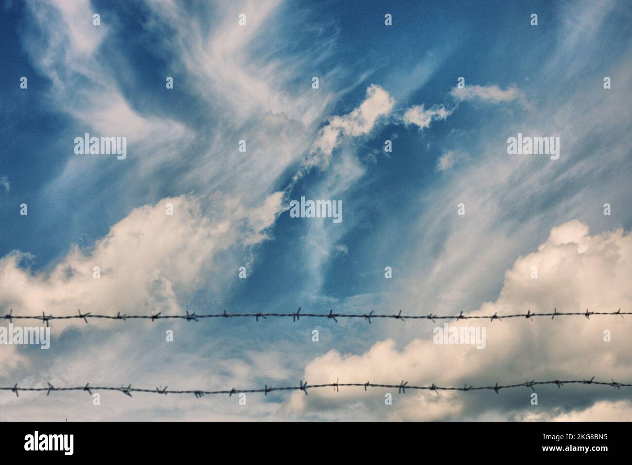 barbed wire on the background of a beautiful blue sky and clouds Stock ...