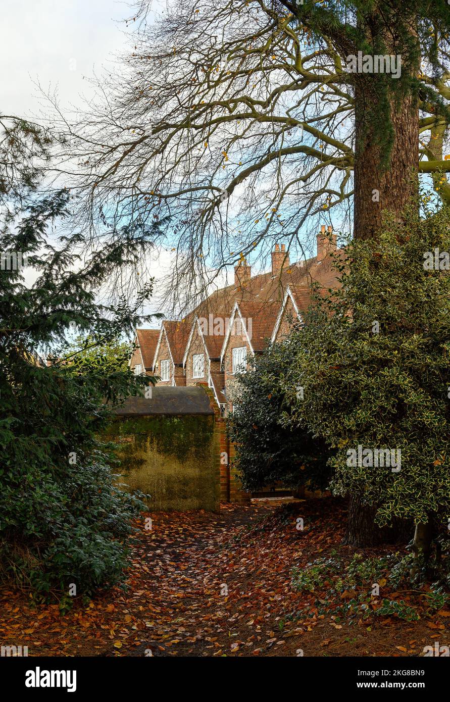 Fall (autumn) scene in England. Trees and fallen leaves in the ...