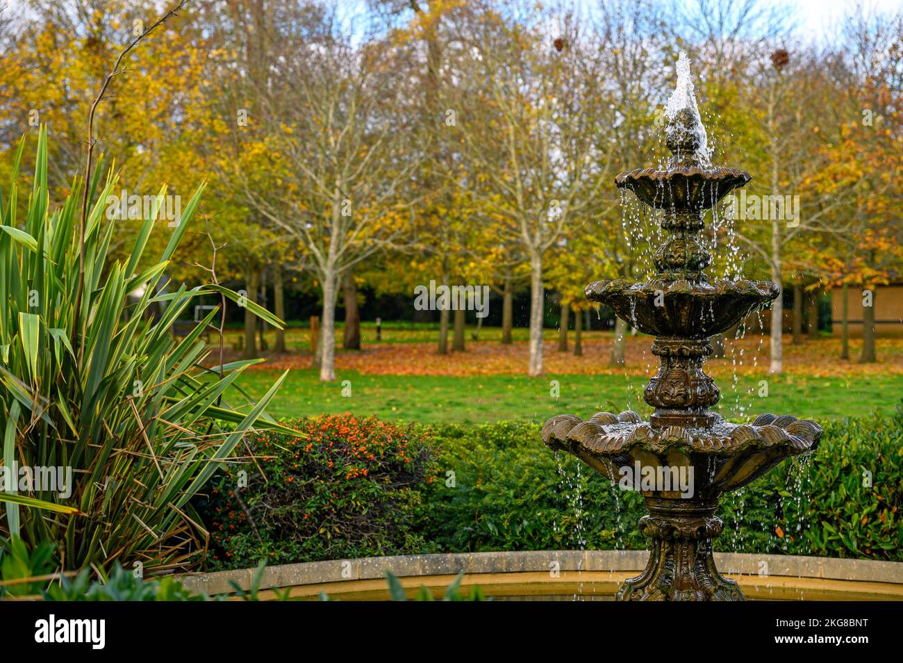Fountain with water drops in a park with trees behind. The fountain is ...
