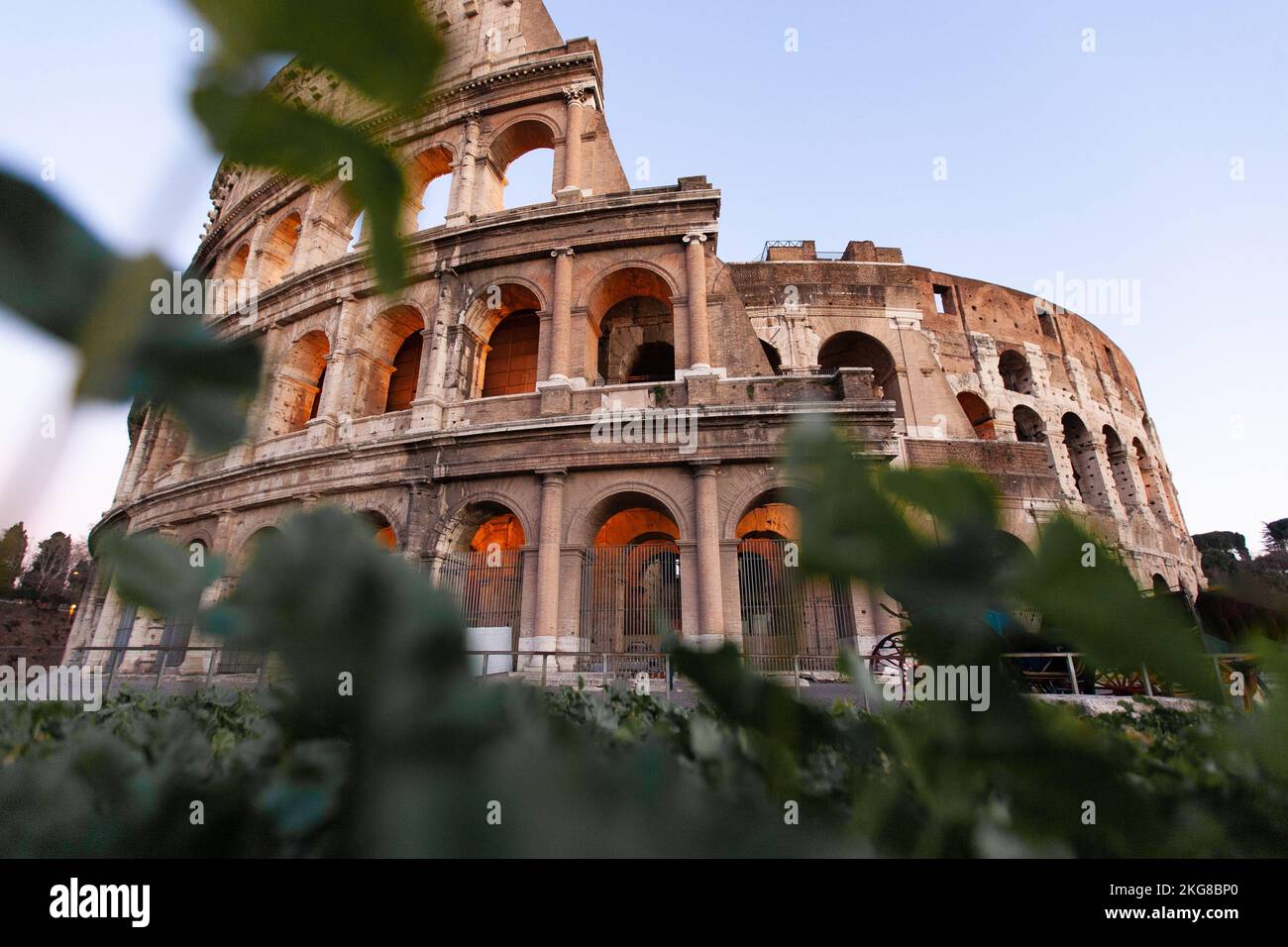 rome, italy, colosseum old ancient building gladiator battle at night ...