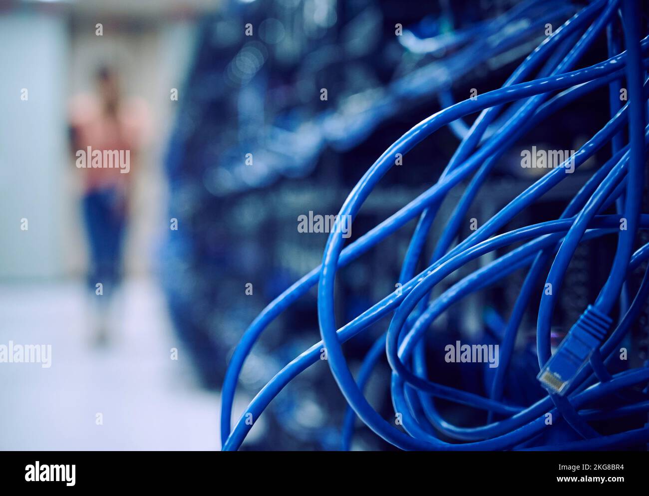 Close-up of blue cables in server room Stock Photo - Alamy