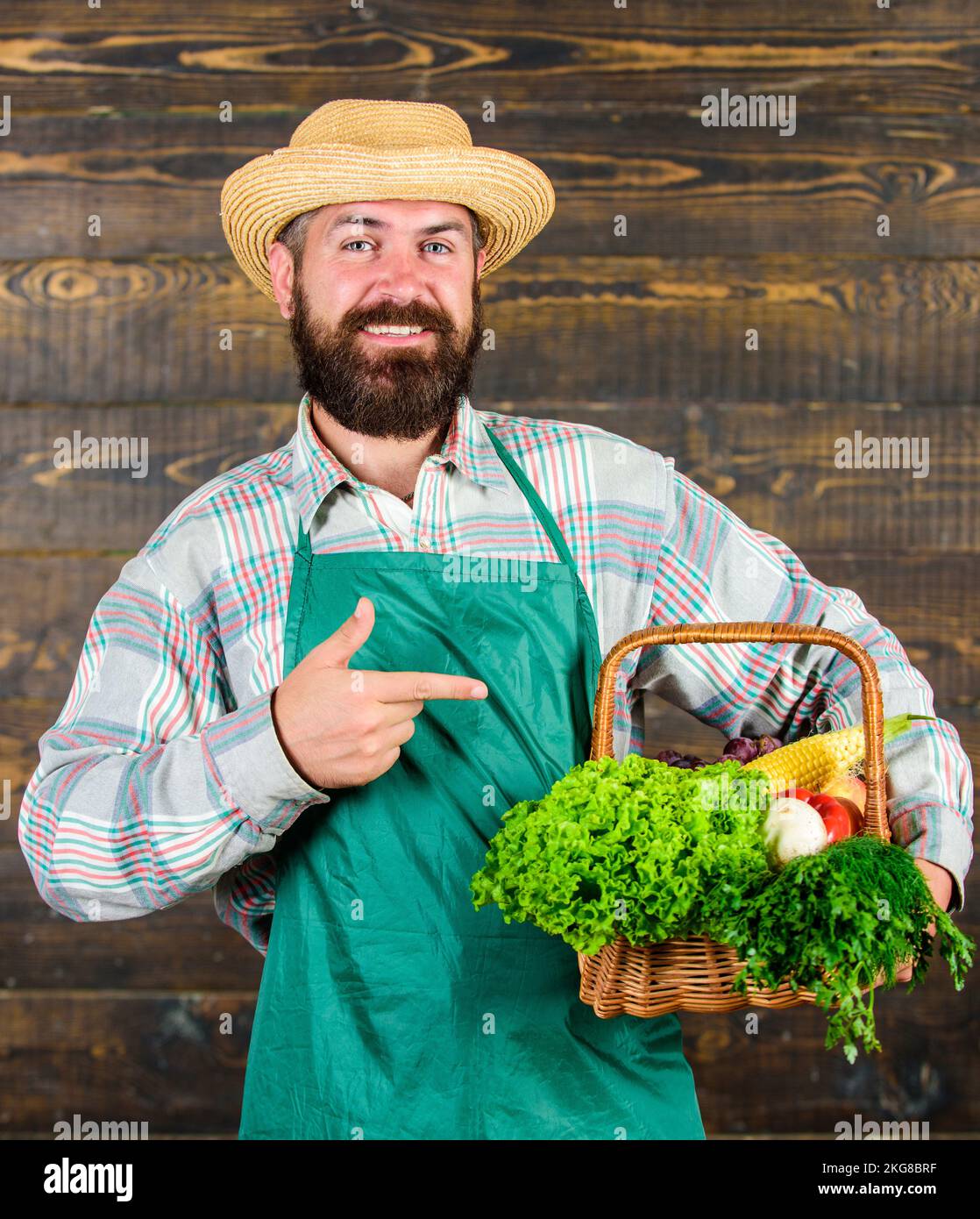 Man bearded farmer wear apron presenting vegetables wooden background ...
