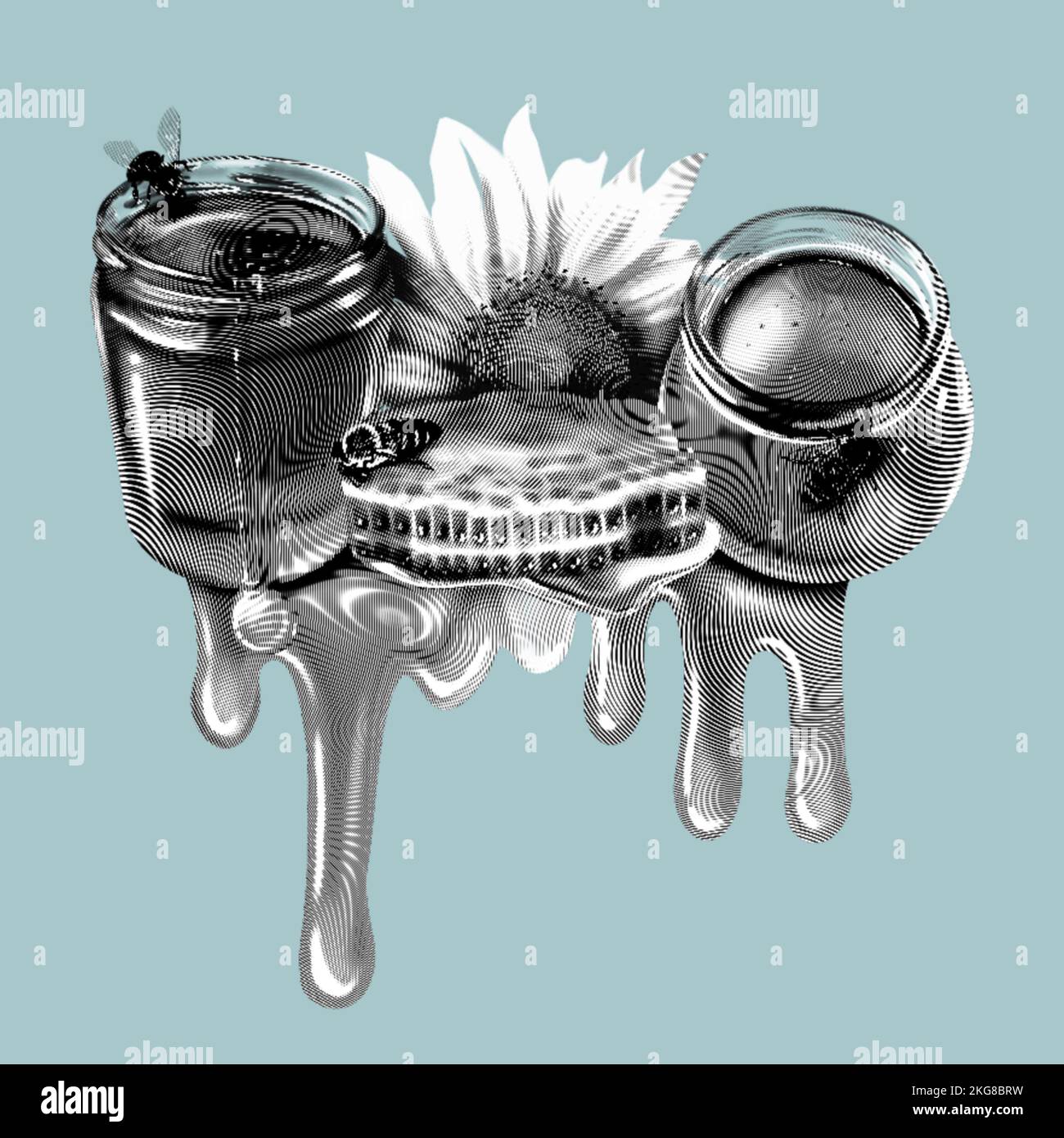 honey composition. graphic engraving realistic illustration of honey ...