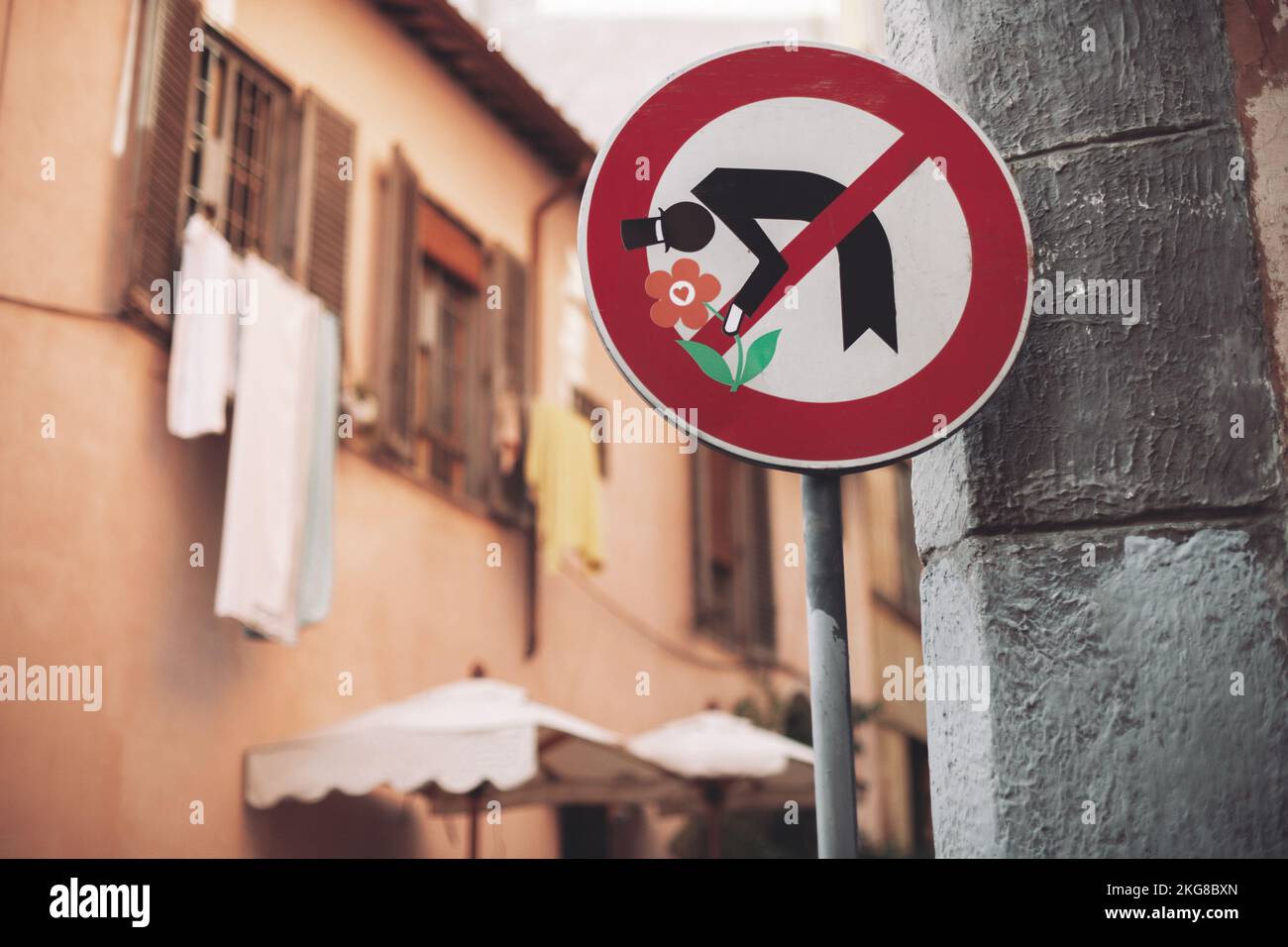 Changed road signs, various interesting drawings and slogans on the ...