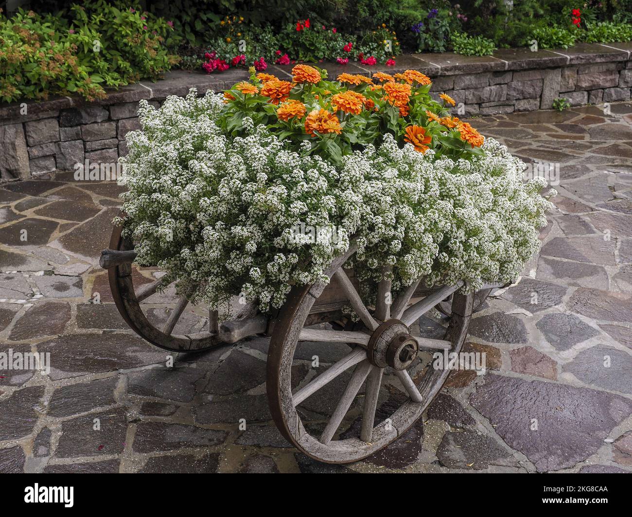 Flowers in a wooden carriage wagon cart chariot Stock Photo - Alamy