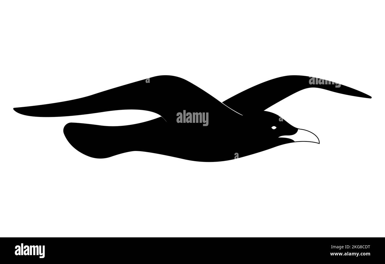 A simple vector illustration of a flying seagull Stock Vector Image ...