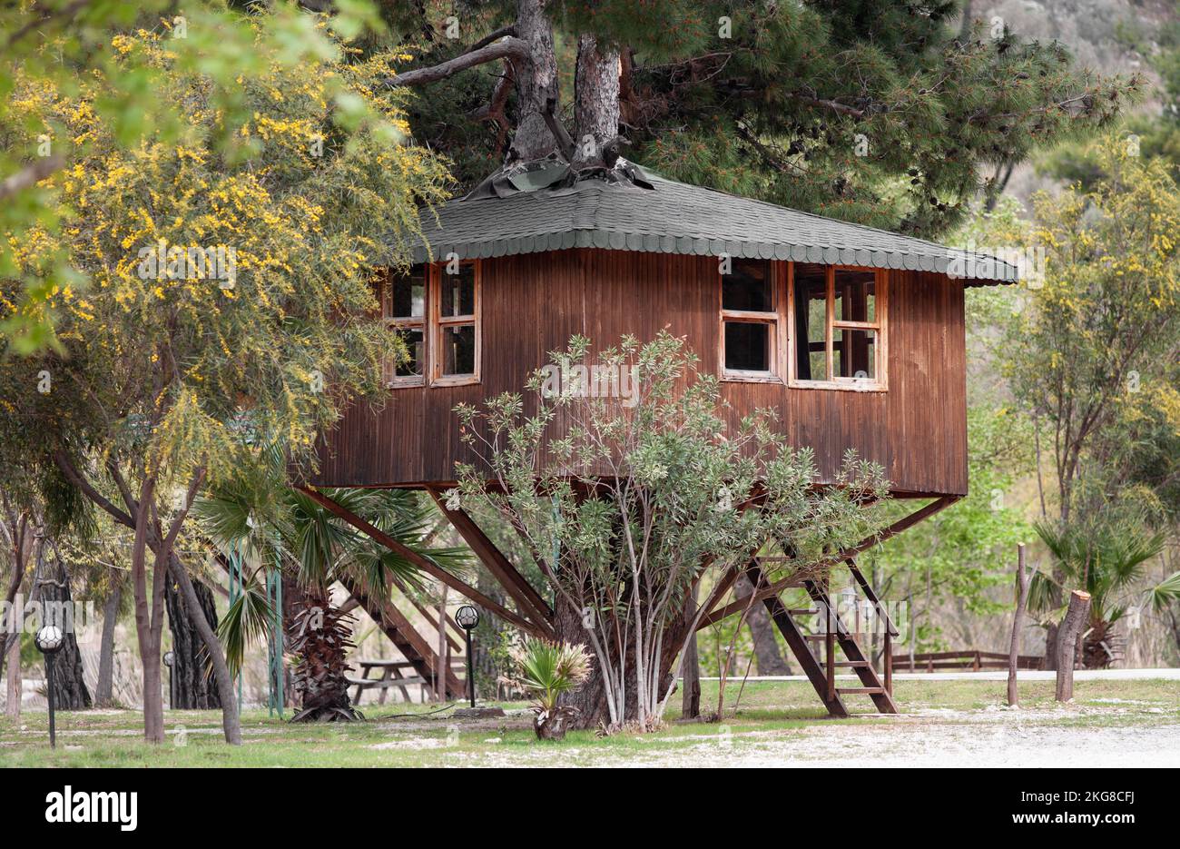 a beautiful big tree house just like the real thing Stock Photo - Alamy