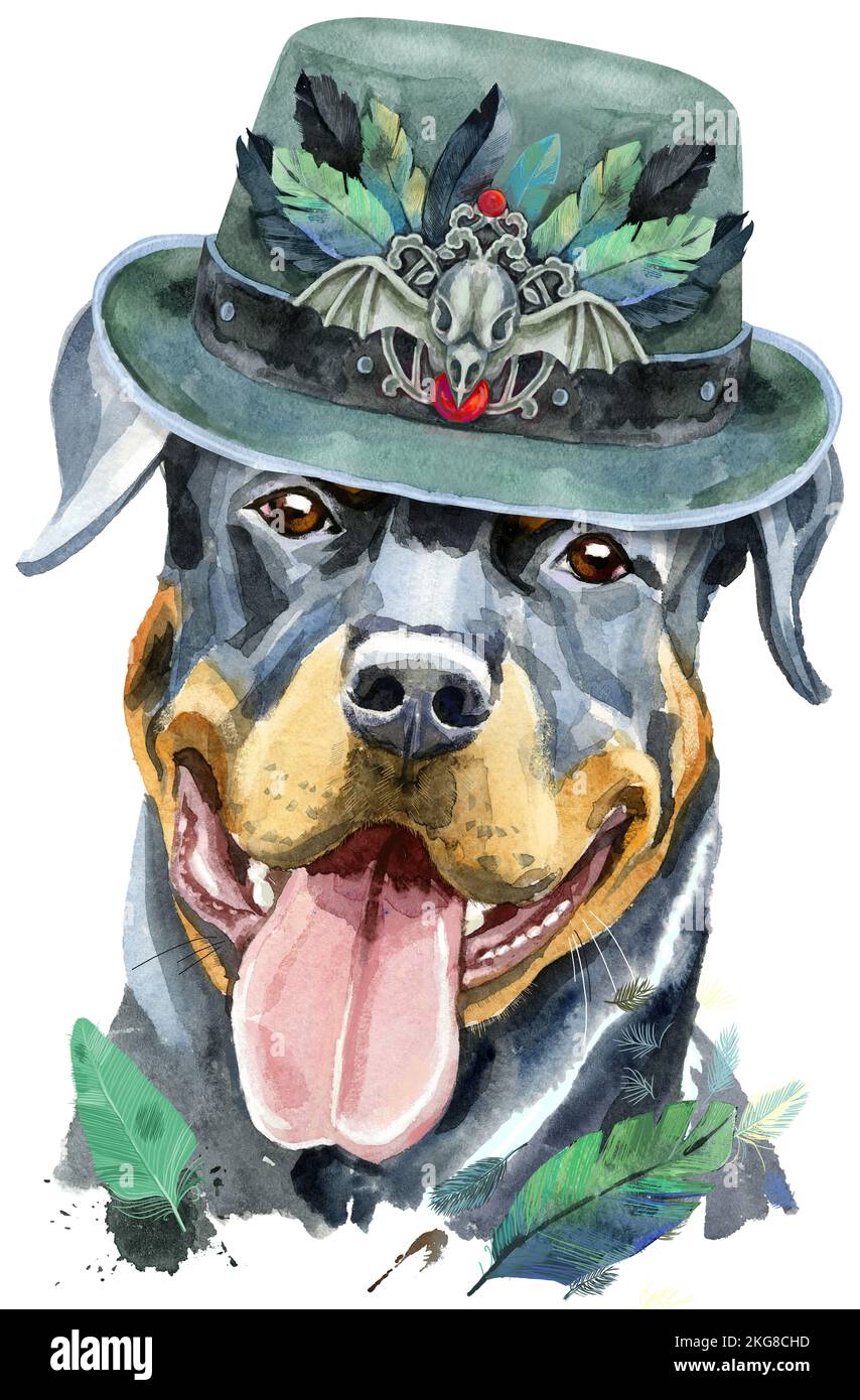 Cute Dog in olive hat with raven skull and feathers. Dog T-shirt ...