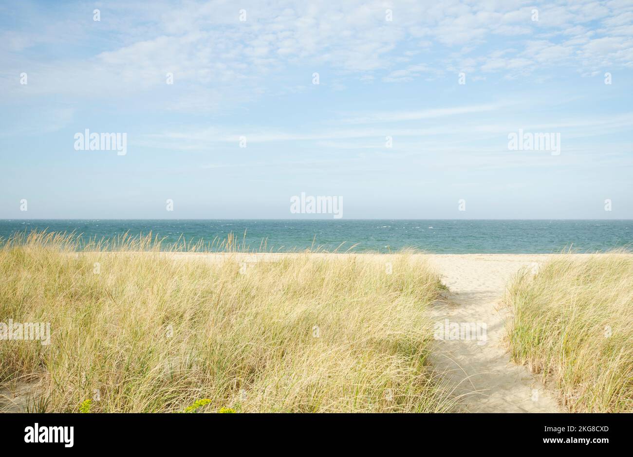 USA, Massachusetts, Cape Cod, Nantucket Island, Footpath on Siasconset ...