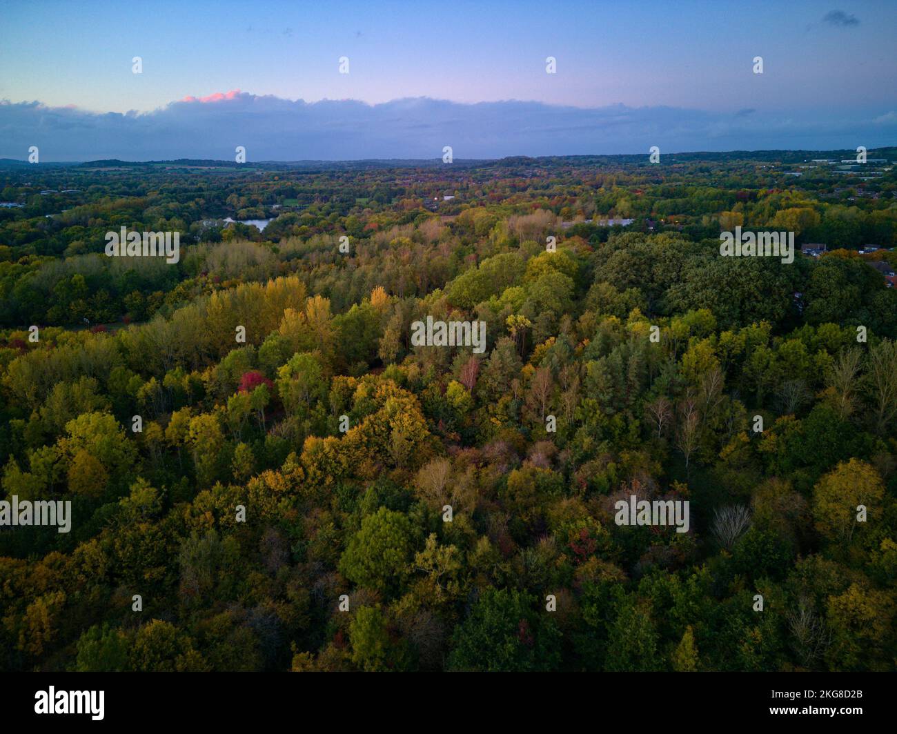 A breathtaking scenery of a vibrant colorful forest from above with ...