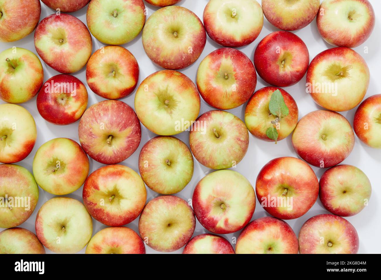 Row apples overhead hi-res stock photography and images - Alamy