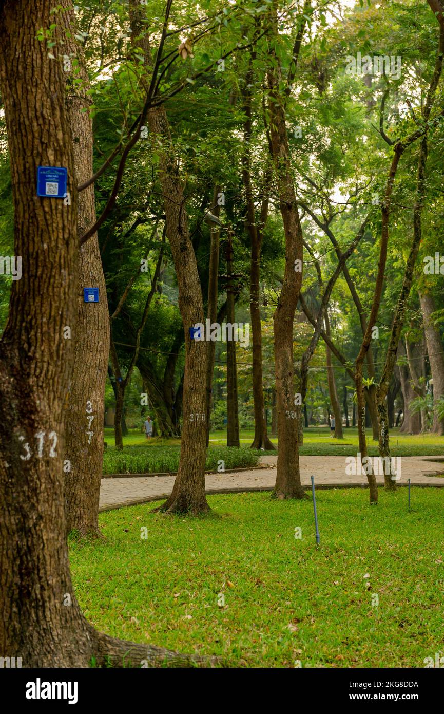 The Hanoi Botanical Gardens (Bach Thao Park), Hanoi, Vietnam Stock ...
