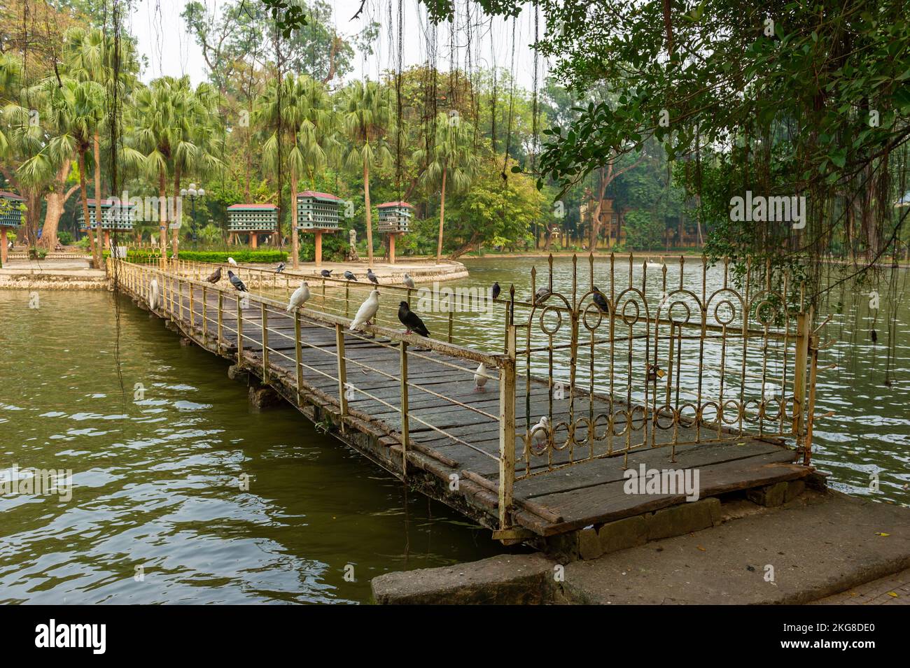 Hồ Bách Thảo in the Hanoi Botanical Gardens (Bach Thao Park), Hanoi ...