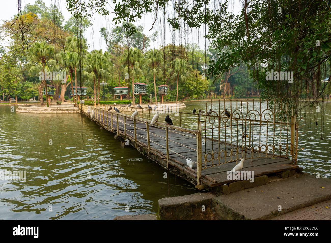 Hồ Bách Thảo in the Hanoi Botanical Gardens (Bach Thao Park), Hanoi ...