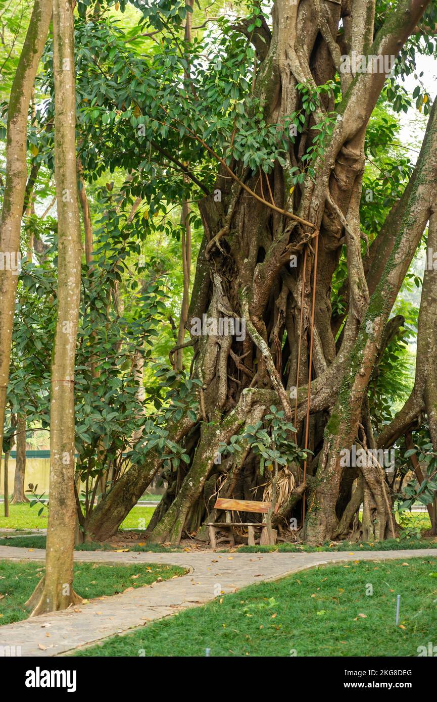 The Hanoi Botanical Gardens (Bach Thao Park), Hanoi, Vietnam Stock ...