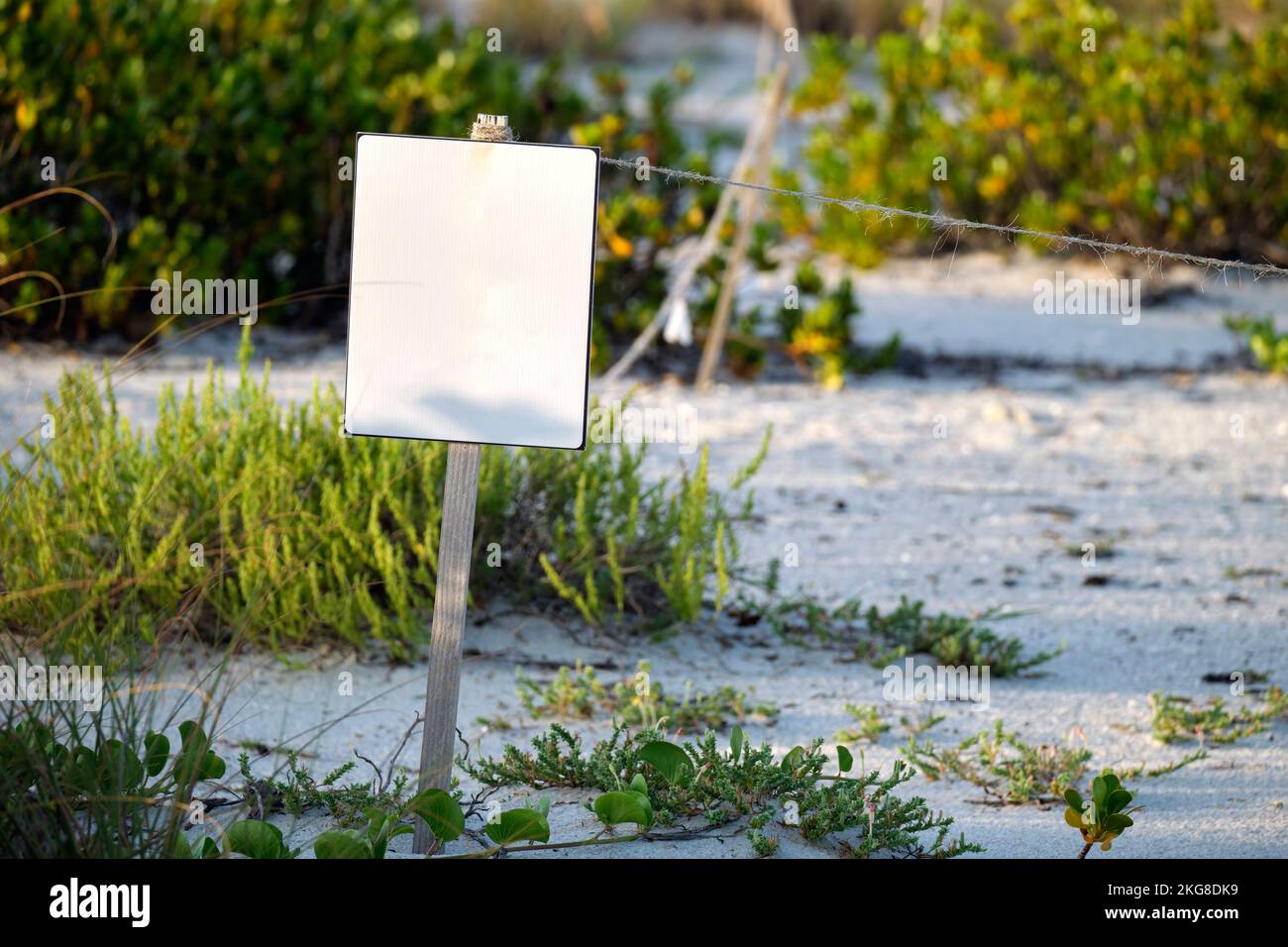 Empty signboard with copy space on seaside beach with small sand dunes ...