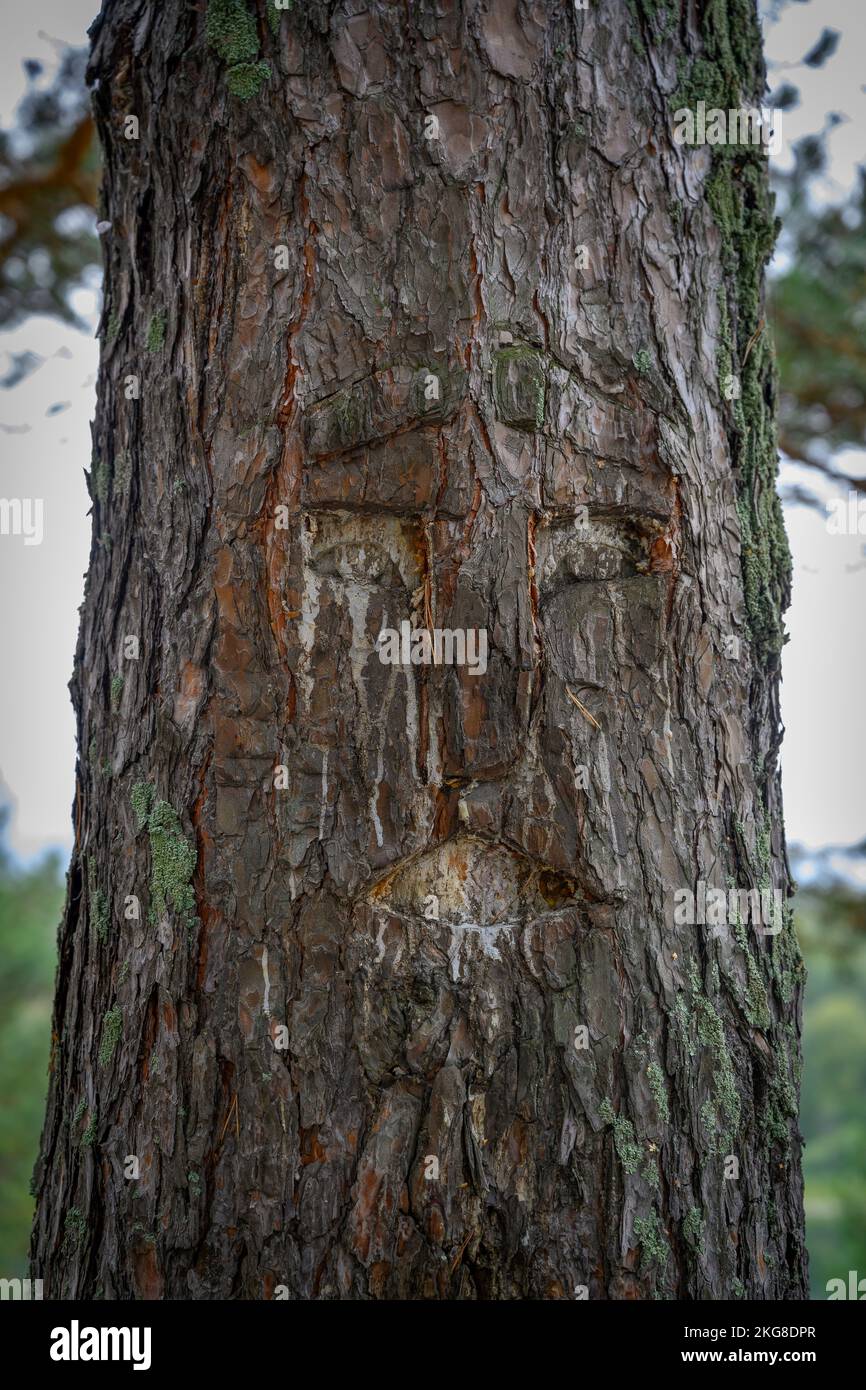 Shamanic tree hi-res stock photography and images - Alamy