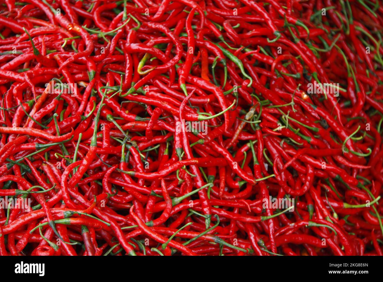 A closeup of a pile of red chillies Stock Photo - Alamy
