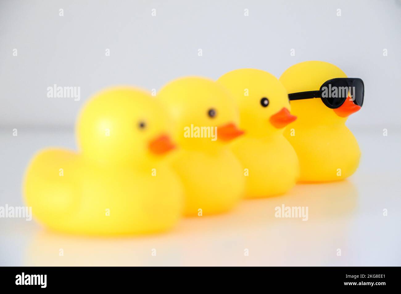 Rubble duck hi-res stock photography and images - Alamy