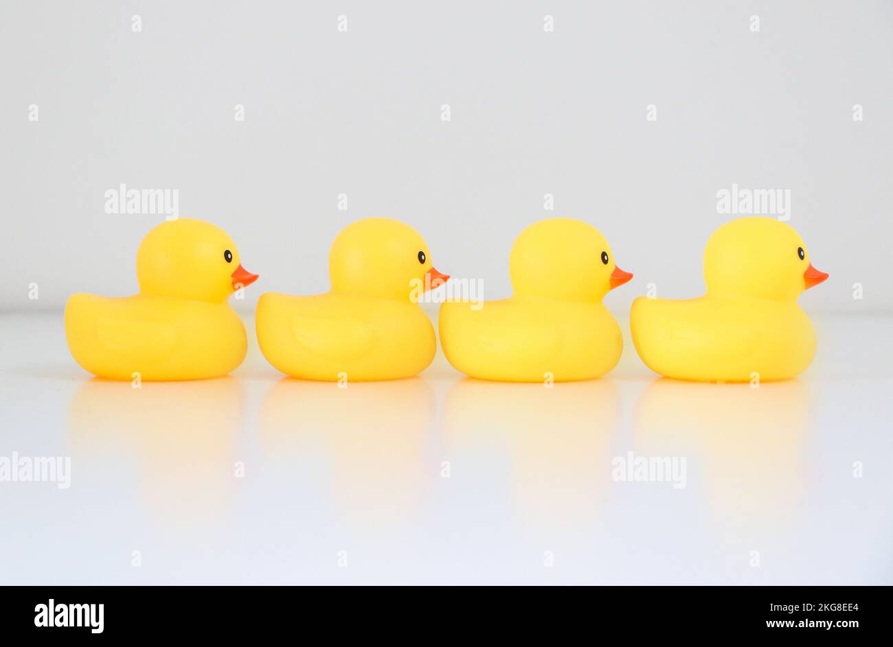 Four yellow rubber ducks in a row lined up in single file facing ...