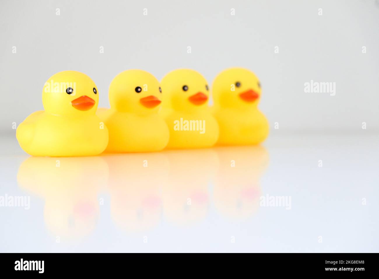 Rubble duck hi-res stock photography and images - Alamy