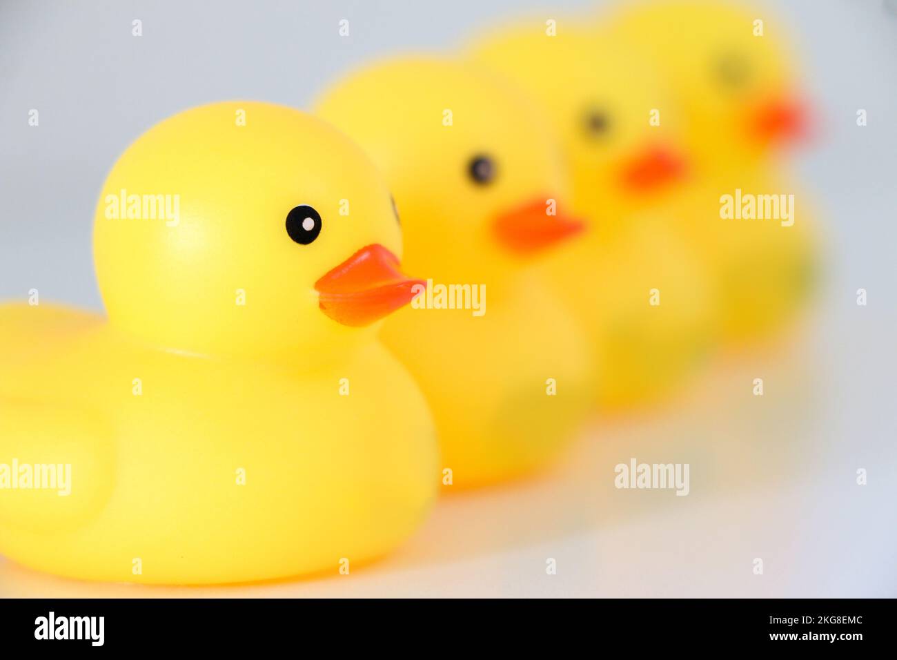 Rubble duck hi-res stock photography and images - Alamy