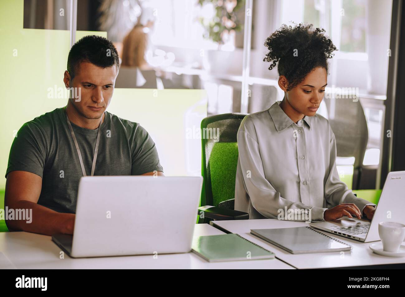 Two concentrated office workers working on their notebook computers ...
