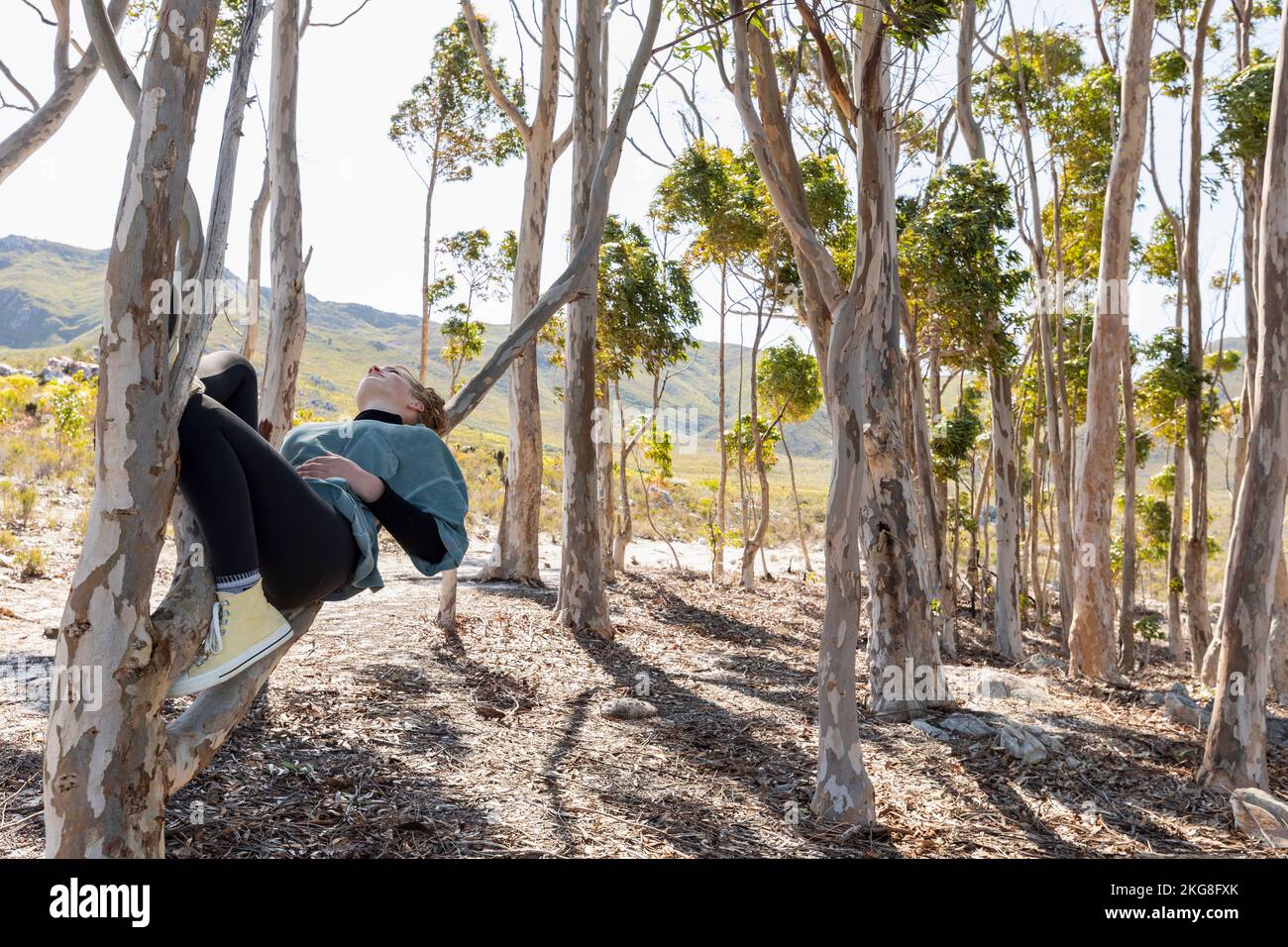 South Africa, Stanford, Teenage girl (16-17) relaxing on branch of gum ... South Africa, Stanford, Teenage girl (16-17) relaxing on branch of gum ...