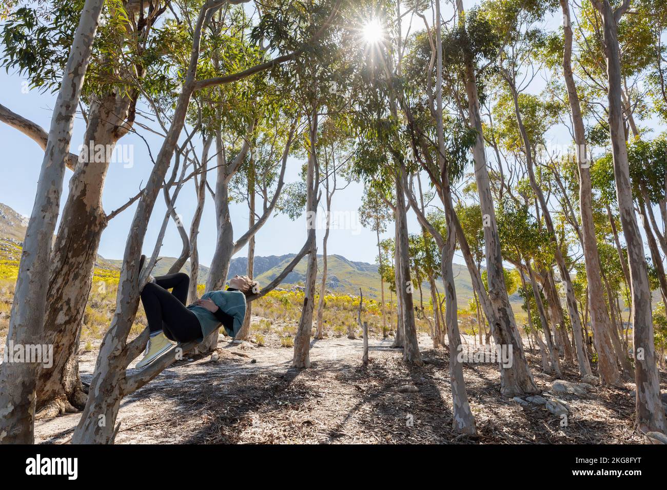 South Africa, Stanford, Teenage girl (16-17) relaxing among gum trees ... South Africa, Stanford, Teenage girl (16-17) relaxing among gum trees ...