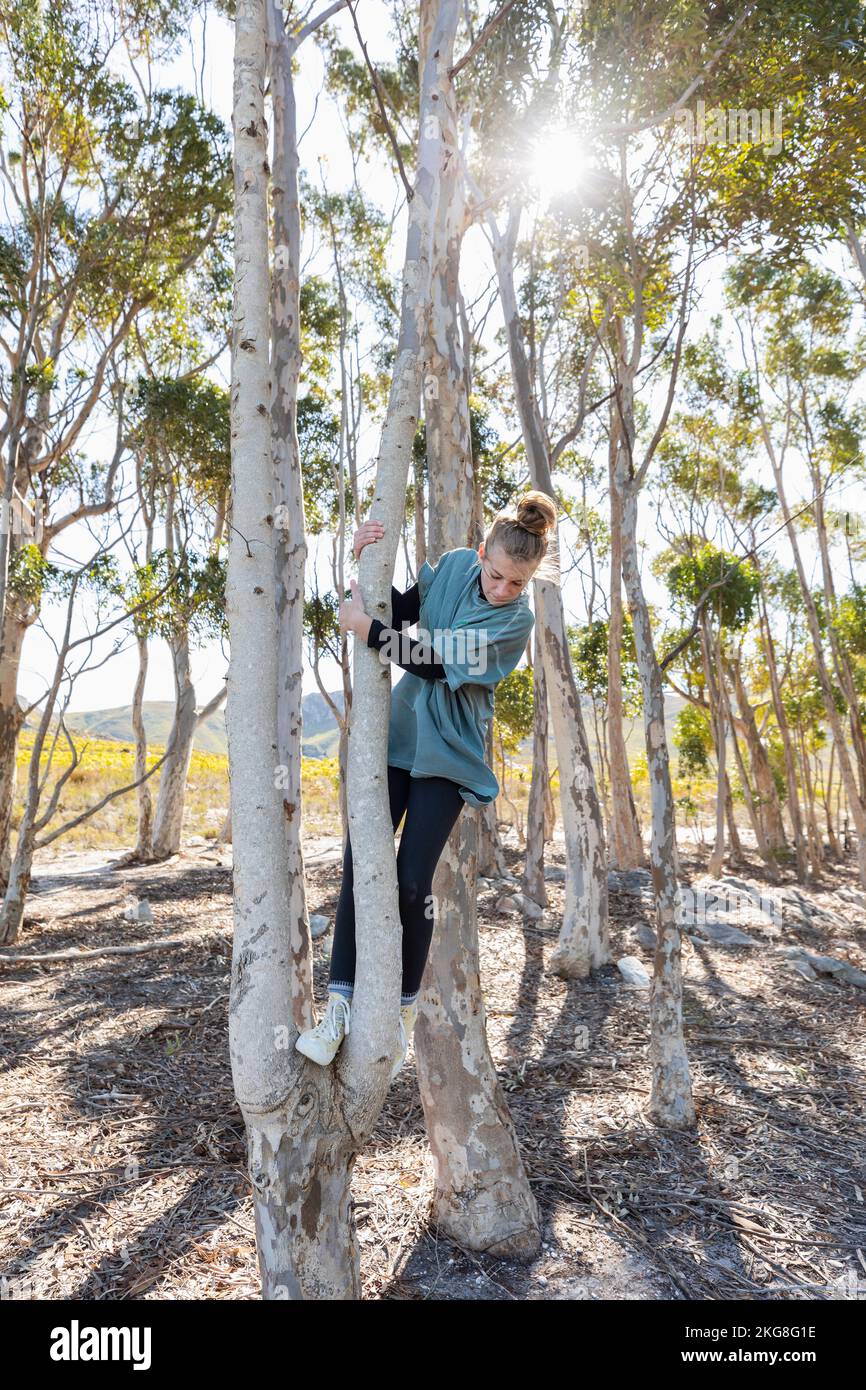South Africa, Stanford, Teenage girl (16-17) climbing on gum tree at ... South Africa, Stanford, Teenage girl (16-17) climbing on gum tree at ...