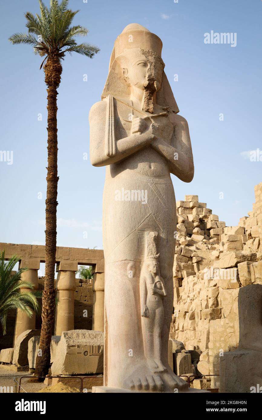 Egypt, Luxor, Pharaoh statue and palm tree at Temple of Karnak Stock ...