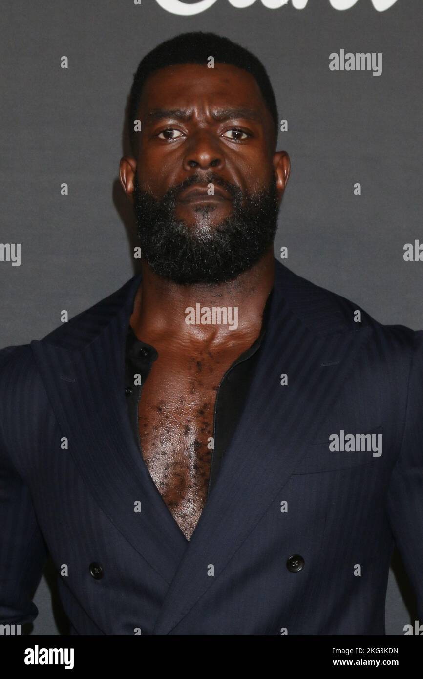 Los Angeles, USA. 20th Nov, 2022. LOS ANGELES - NOV 20: Michael James ...