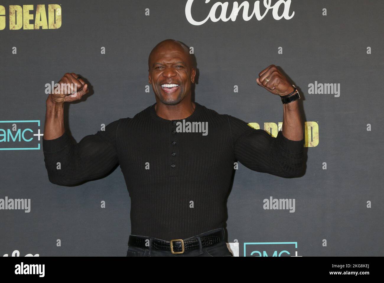 LOS ANGELES - NOV 20: Terry Crews at The Walking Dead Finale at Orpheum ...