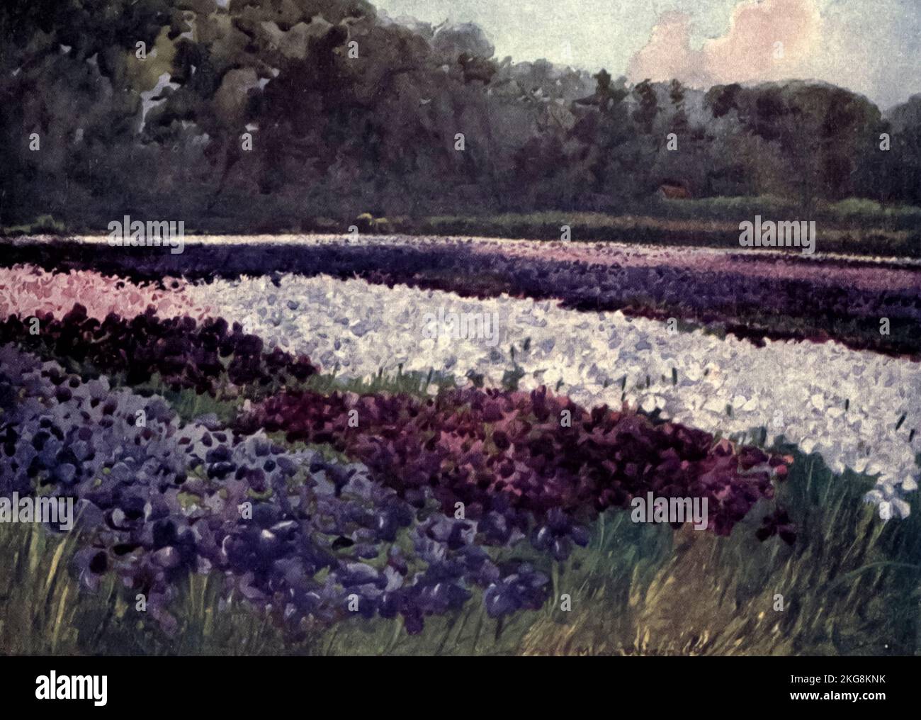 In emerald tufts, flowers purple, blue, and white, like sapphire, pearl ...