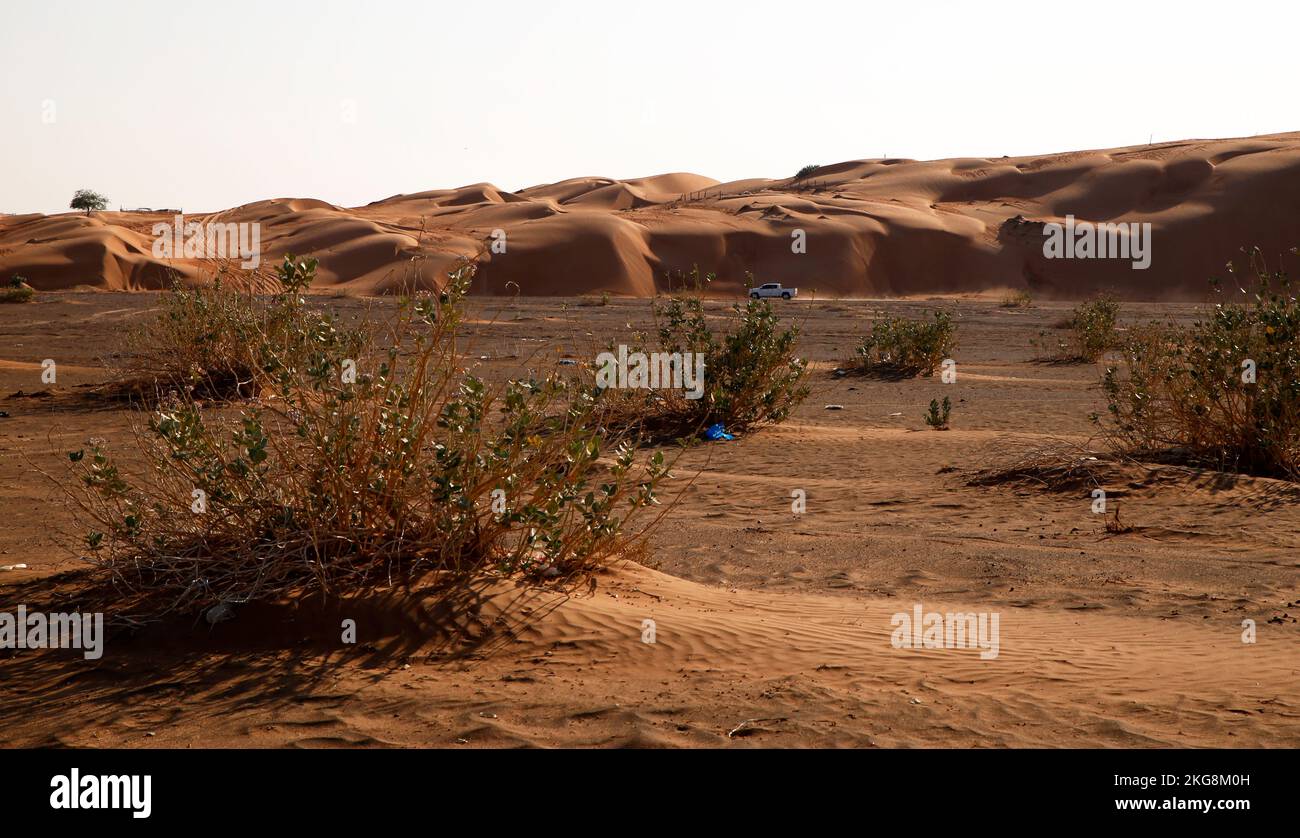 Beautiful dunes of Wahiba Sands, Oman Stock Photo - Alamy
