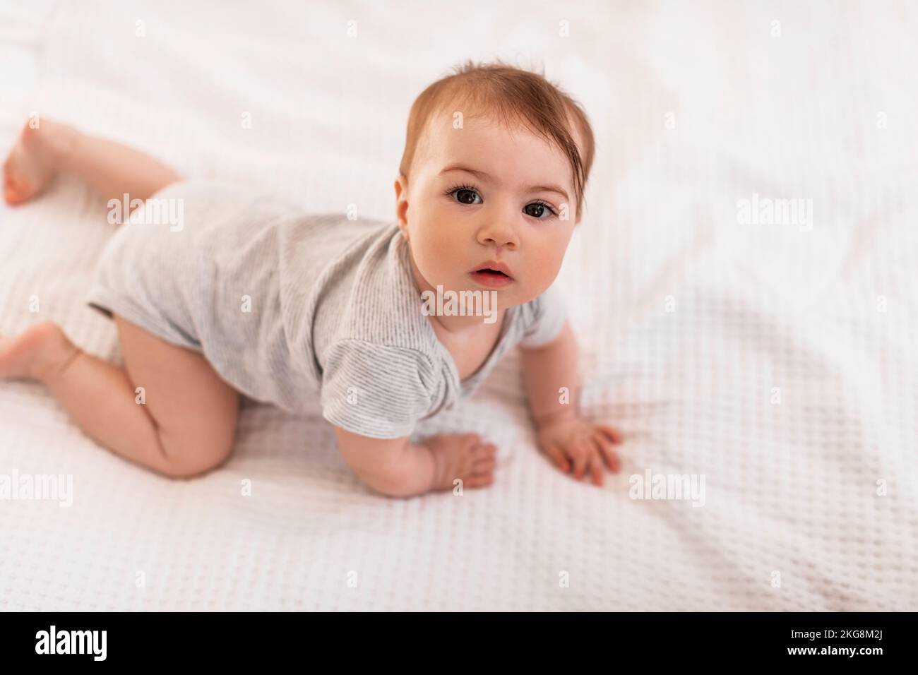 Cute little baby girl crawling on the bed and looking at camera, free ...