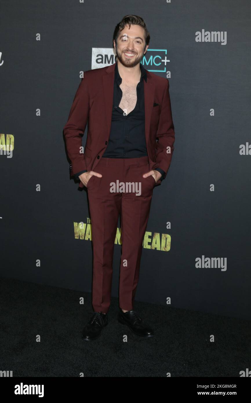 LOS ANGELES - NOV 20: Teo Rapp-Olsson at The Walking Dead Finale at Orpheum Theatre on November ...
