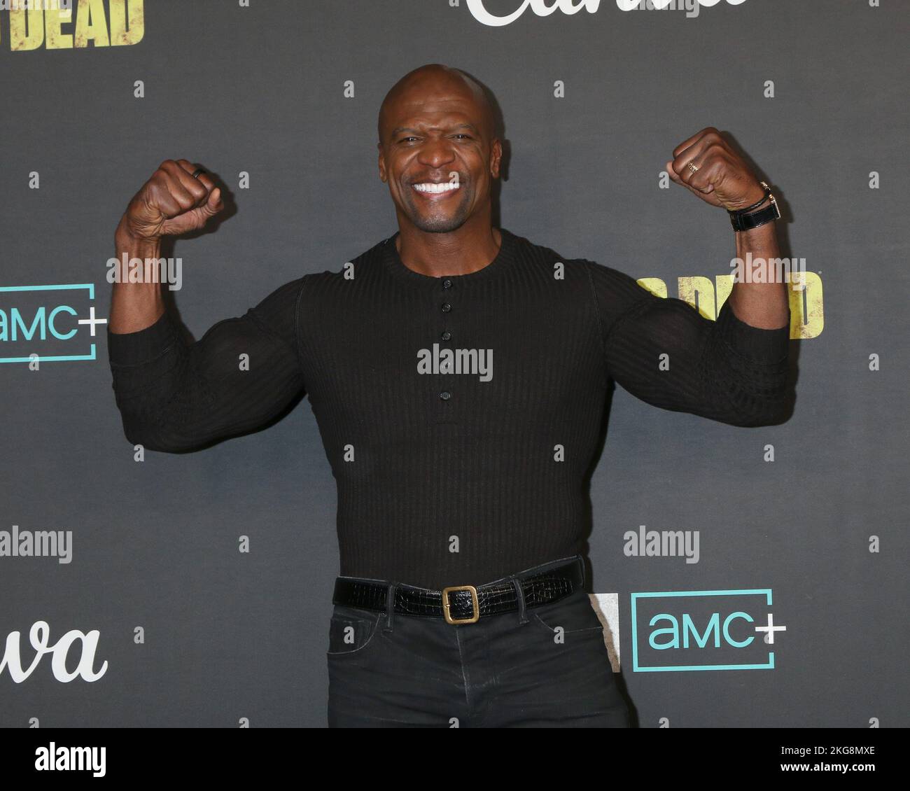 LOS ANGELES - NOV 20: Terry Crews at The Walking Dead Finale at Orpheum ...