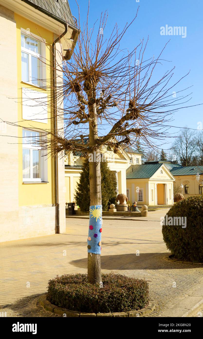 The trunks of the trees on Narodni trida in Frantiskovy Lazne are ...