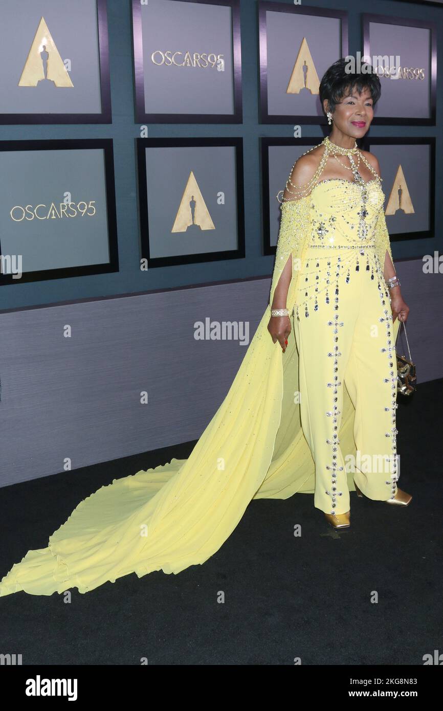 LOS ANGELES - NOV 19: Euzhan Palcy at the 13th Governors Awards at ...