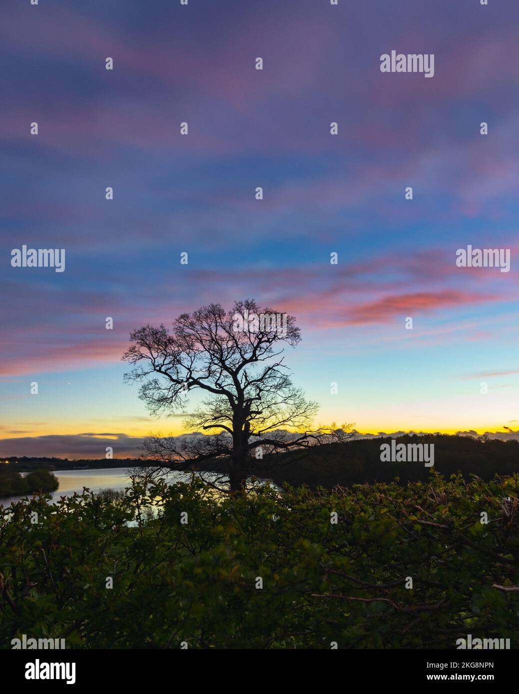 Trees Silhouetted by a beautiful golden hour sunrise at Staunton Harold ...