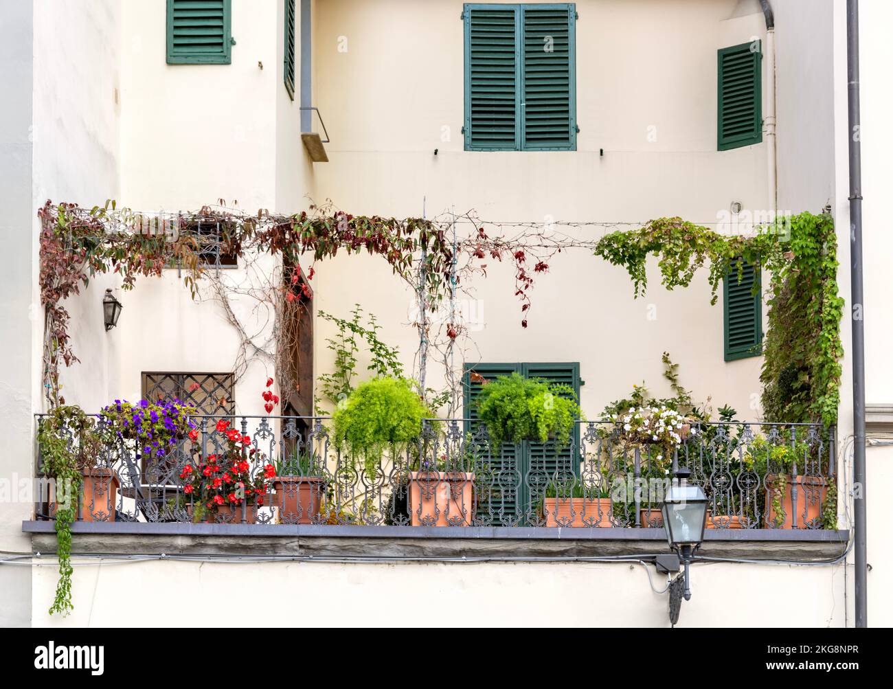 Flowers and plants cascading over wrought iron balcony against stone ...